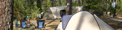Aire naturelle et camping à la ferme près des plages Côte Landes