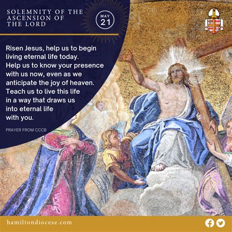 Diocese Of Hamilton On Twitter Today We Celebrate The Solemnity Of