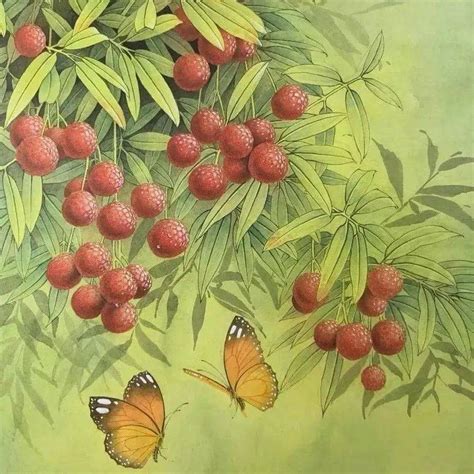 工笔画荔枝绘画步骤教程 国画 叶子 花青
