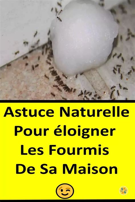 Lastuce pour lutter contre les fourmis naturellement et très