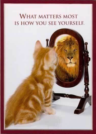 Quotes About Mirrors And Reflections QuotesGram