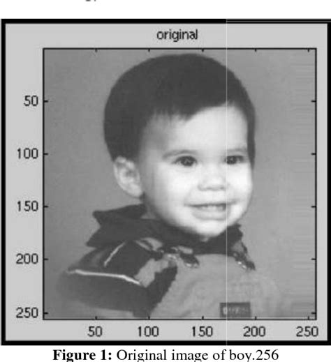 figure 1 from image compression techniques based on transform coding semantic scholar