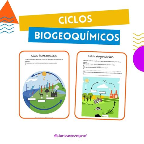 Exercícios Sobre Ciclos Biogeoquímicos