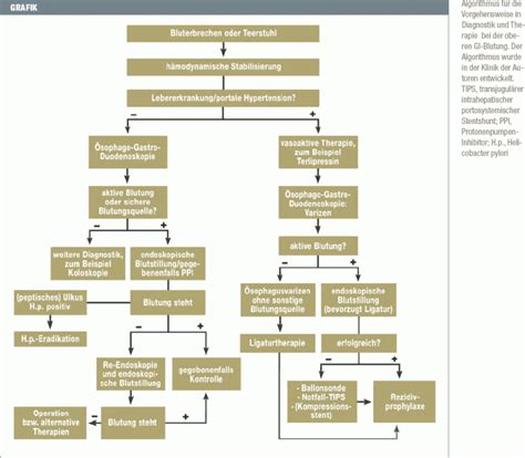 Effiziente Diagnostik Und Therapie Oberer Gastrointestinaler Blutungen