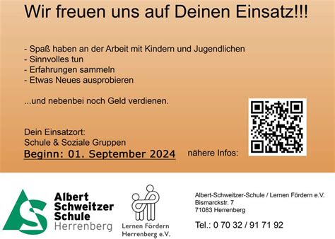 Freiwilliges Soziales Jahr FSJ An Der Albert Schweitzer Schule Und