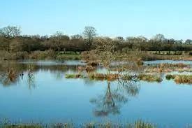 P Che Etang De La Courbeti Re Fishsurfing