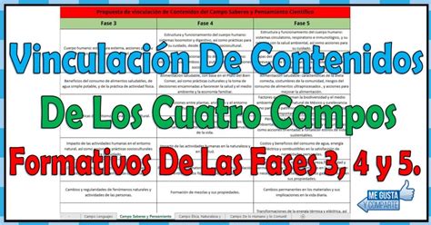 Vinculación de contenidos de los cuatro campos formativos de las fases