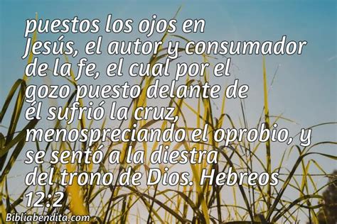 El Gozo De Cristo En El Cristiano Explicación Y Significado Bíblico