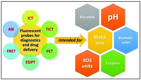 Scheme Schematic Representation Of The Structure Of The Review