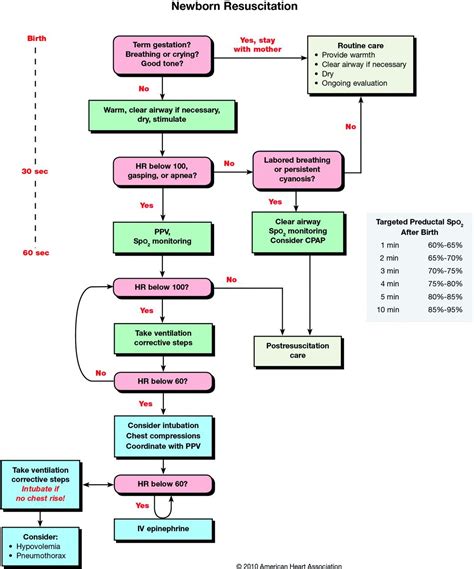 Flow Diagram For Basic Neonatal Resuscitation Steps Of Neona