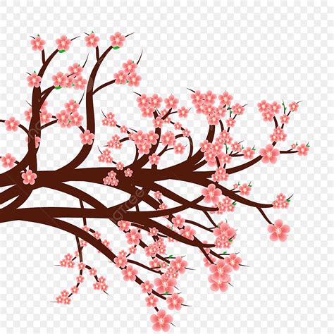 Sakura Cherry Blossom Vector Hd Png Images Blossom Sakura Flower