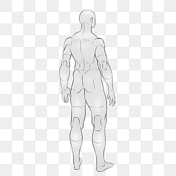 Animado Referencia Del Modelo PNG Imágenes Transparentes Pngtree