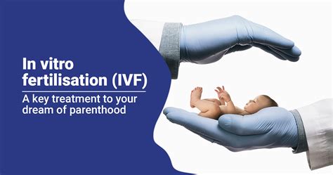In Vitro Fertilisation IVF A Detailed Look At The Procedure