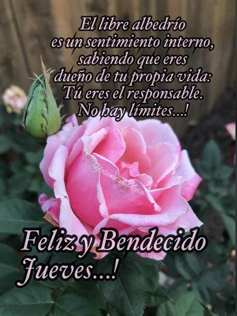Pin De Conny Barrera En Jueves Feliz Jueves Textos De Buenos Dias