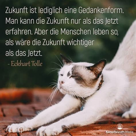 Pin On Eckhart Tolle Zitate