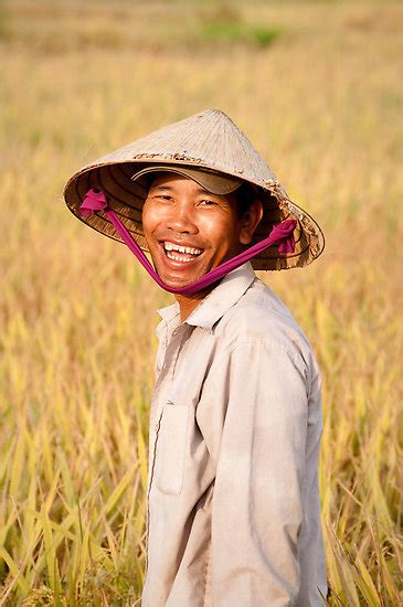 Asian Rice Farmer Telegraph