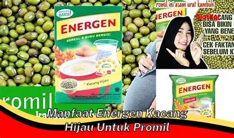 Manfaat Jus Kacang Hijau Membuka Rahasia Kesehatan Biotifor