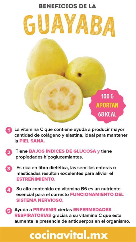 Guayaba En 2020 Guayaba Beneficios Frutas Y Verduras Beneficios