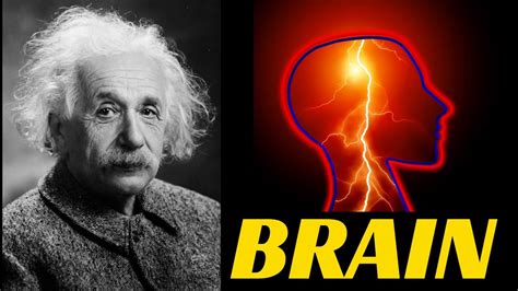 How Much Brain Power You Use Albert Einstein Albert The Brain