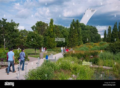 Canada Québec Montréal le Jardin botanique et à l arrière plan la