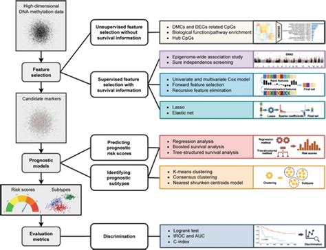 computational analysis of high dimensional dna methylation data for cancer prognosis journal