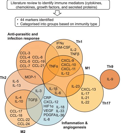 Schematic Representation Of Immune And Inflammatory Mediators Selected