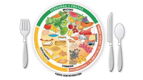 Que Es El Plato Del Buen Comer Para Niños Guía Para Una Nutrición