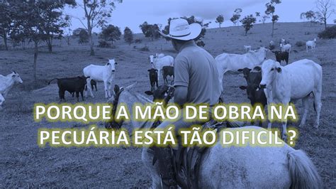 Porque está tão difícil a mão de obra na pecuária YouTube