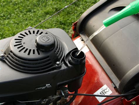 ᐉ Podadora de Gasolina Las mejores Ofertas y Consejos