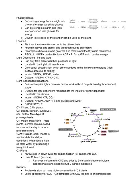 Biology Chapter Biochemical Pathways Photosynthesis