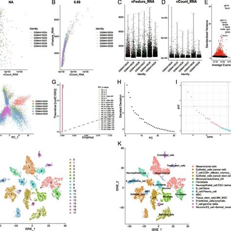 scrna seq data processing and analysis a the correlation analysis download scientific diagram