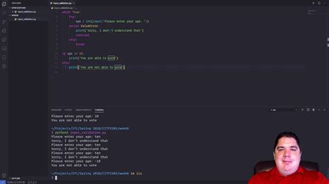 input validation in python youtube