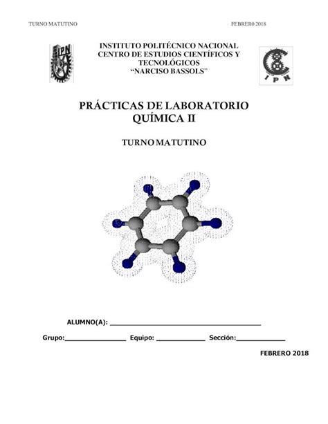 Pdf Pr Cticas De Laboratorio Qu Mica Ii Balanceo Por El M Todo De