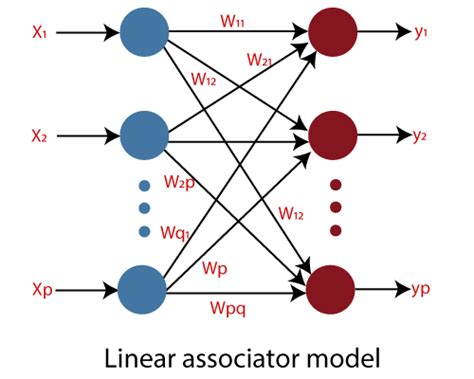 associate memory network javatpoint
