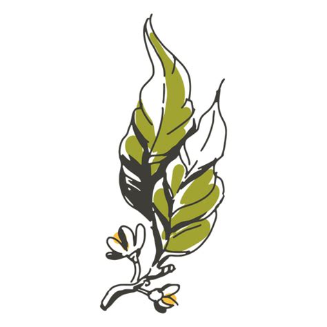 Diseños PNG de plantasnaturaleza para camisetas Merch