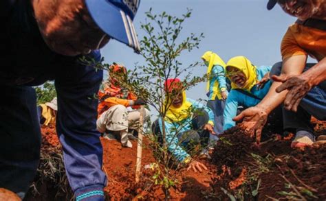 Aksi Menanam Pohon Sebagai Upaya Mengendalikan Perubahan Iklim 0 Foto