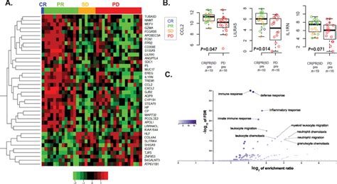 de novo gene expression classifier for il2 clinical response a download scientific diagram