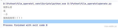 python文件操作相关知识点（读取 写入数据） python 打开文件读取数据 csdn博客