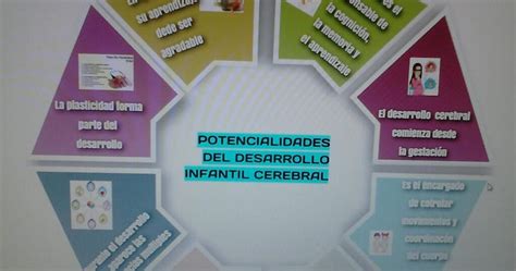 Neurociencias Diversidad e Inclusión Infografía Rosa Vivenes