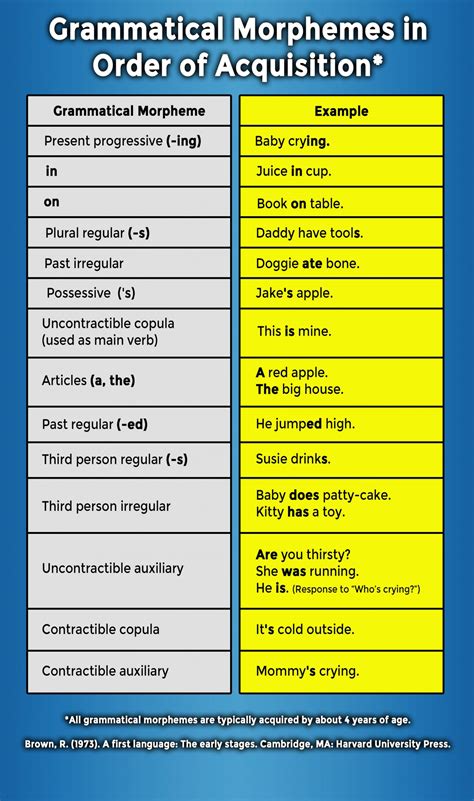 Examples Of Receptive Language
