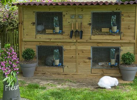Comment Faire Une Maison Pour Lapin Nain Ventana Blog