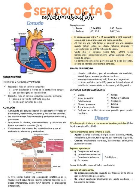 Semiolog A Cardiovascular Danitza Huaman Udocz