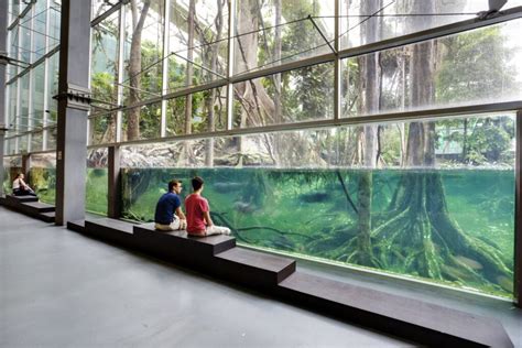 Mejores museos para visitar con niños en Barcelona La Guía GO