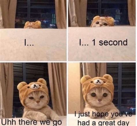 Hope You Guys Are Doing Okay R Wholesomememes Wholesome Memes