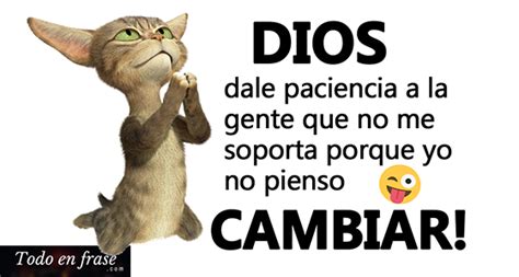Frases graciosas para no parar de reír