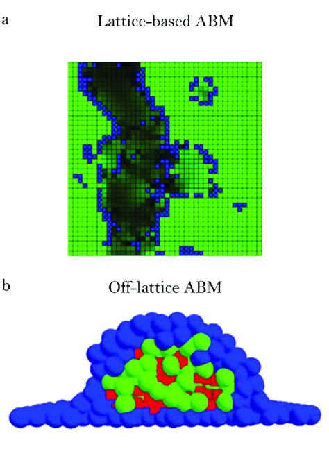 a lattice based abm and an off lattice abm the main difference is download scientific diagram