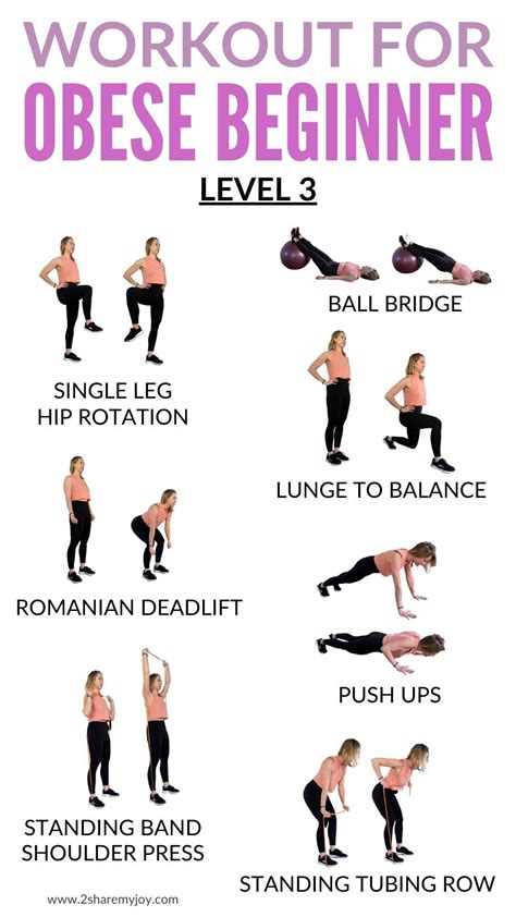 Workout For Obese Beginners Low Impact Sharemyjoy In