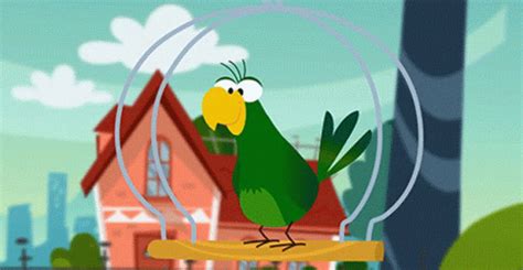 Oi Ola Oi Ola Papagaio Discover Share GIFs
