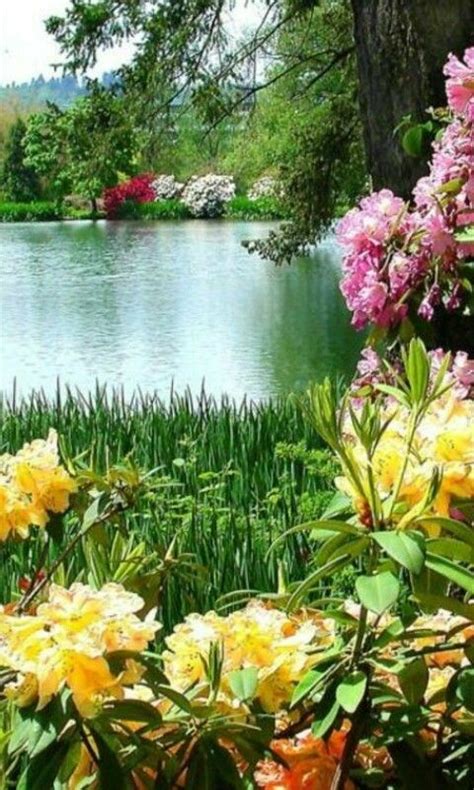 Paisagens Lindas Da Natureza Paisagens Lindas Imagens Bonitas Baixe