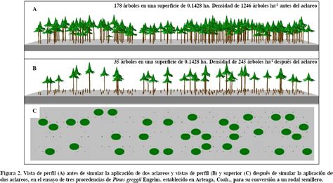 Selección de árboles y conversión de un ensayo de procedencias a un